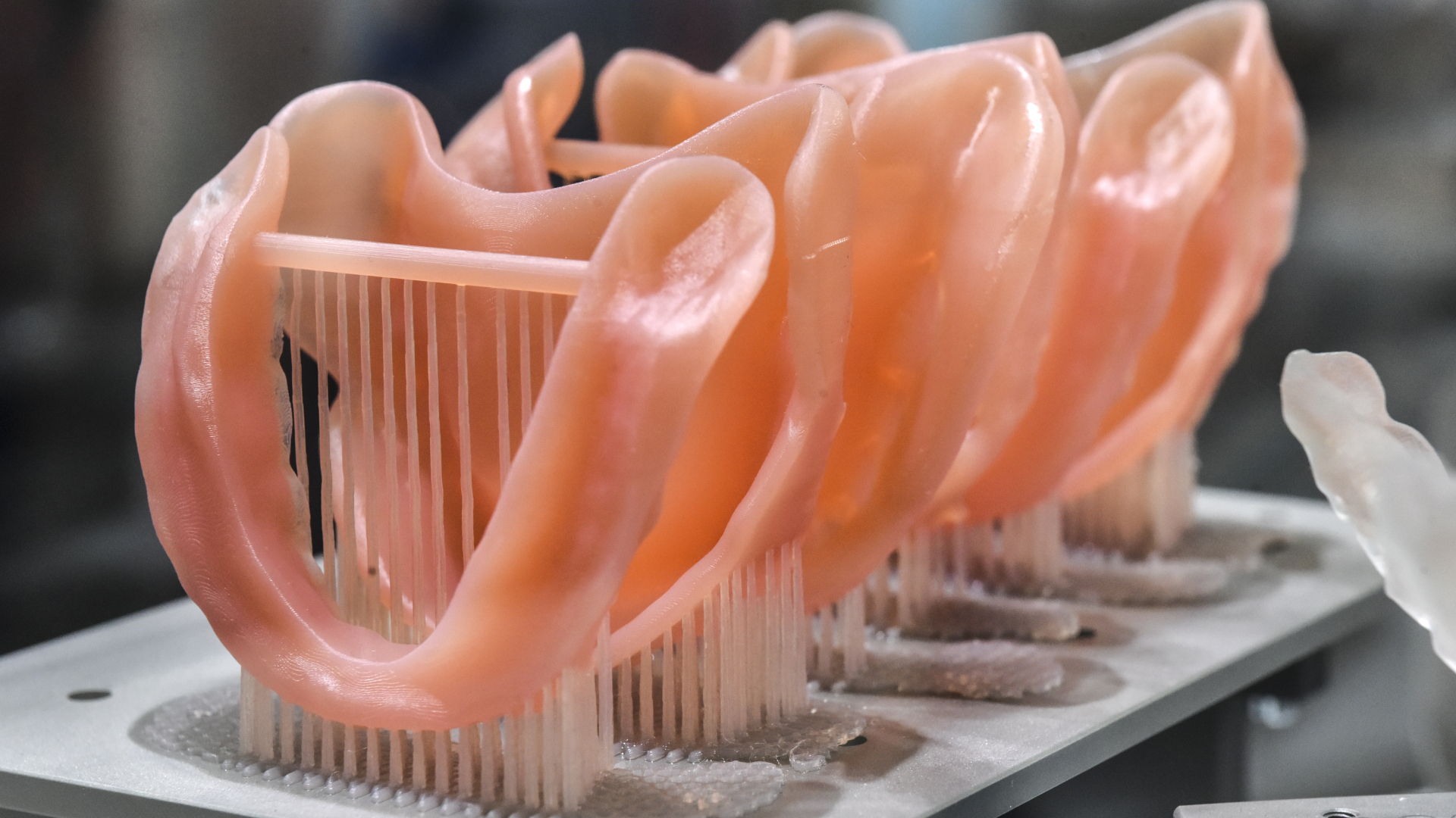 International Dental Show—IDS 2025 - Events - Dental Tribune International